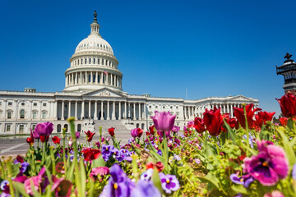 Renting in the District: A Guide to D.C. | Apartments.com