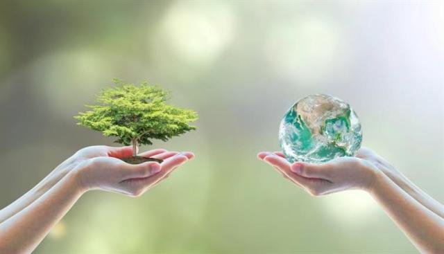 17 Ways to Go Green in Your Apartment This Spring | Renterverse