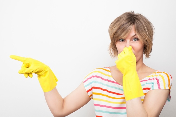 Smelly Apartment: What Can I Do? | Renterverse