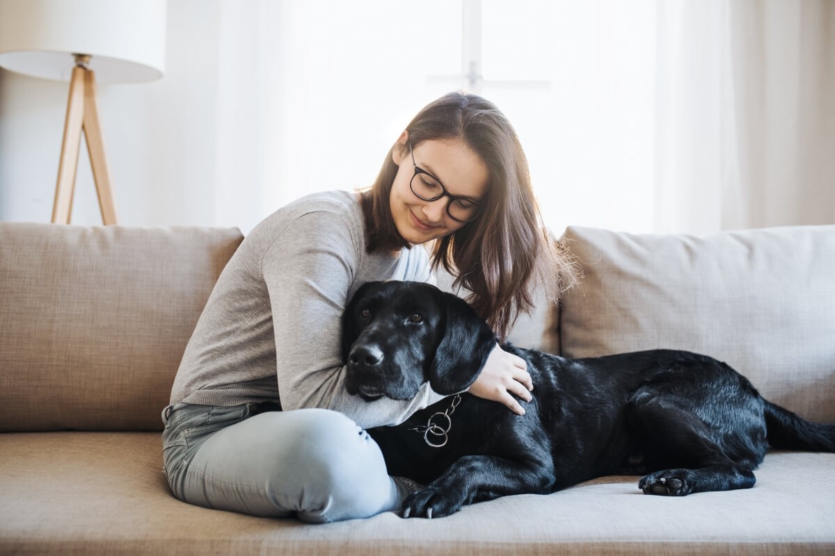 Pet Liability Insurance for Renters | Apartments.com
